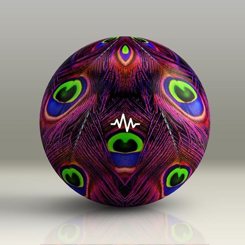 NoFuk Winds (Loop + Midi Kit) - Freshstuff4you