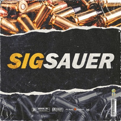 Flame Audio Sig Sauer (Construction Kits) WAV MIDI - Freshstuff4you