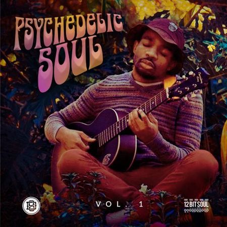 Divided Souls Psychedelic Soul WAV - Freshstuff4you