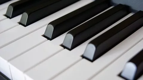 Learn Piano Keyboard From Scratch Beginners Lesson TUTORIAL ...