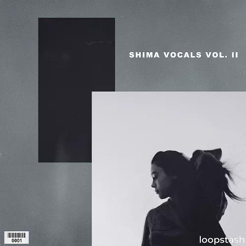 loopstash SHIMA x KXVI Vocal Chops Vol.2 WAV - Freshstuff4you